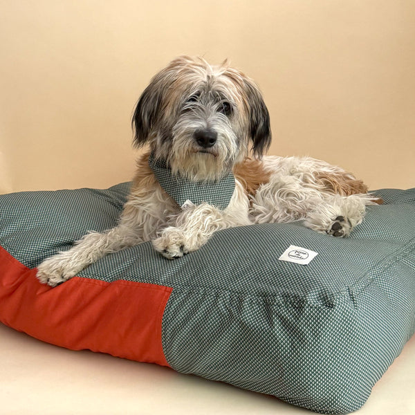 Cama Tradicional Algodón - Perro de Mundo